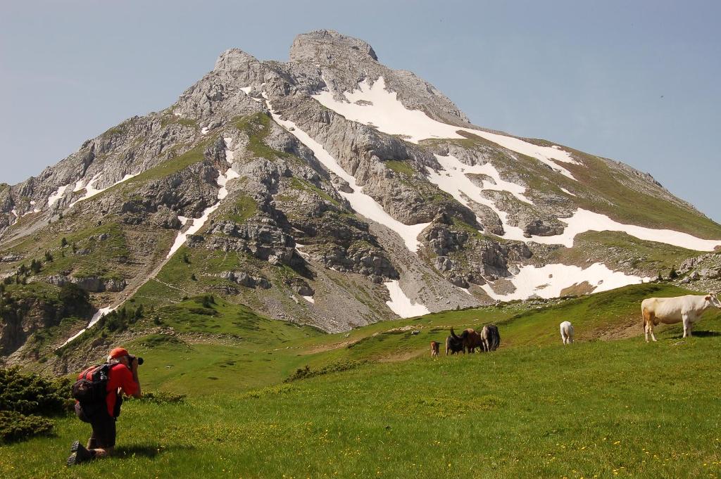 Biogradska Gora National Park & Kolašin – Montenegro Mountain Adventure