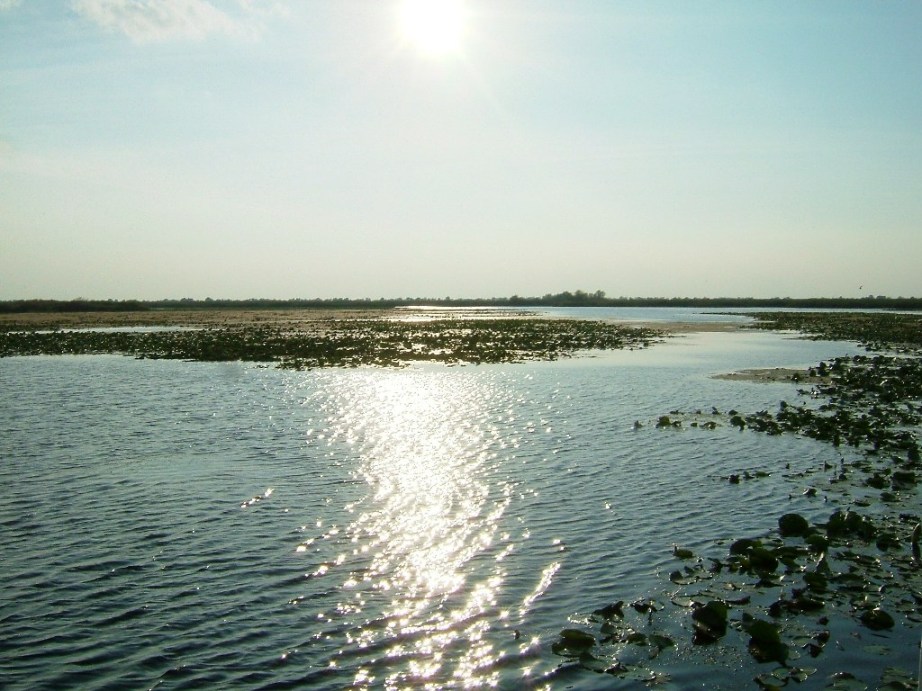 Danube Delta & Dobrogea – Wildlife, Villages & UNESCO Exploration